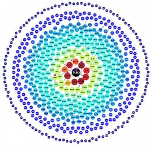 The map of the connections between all the genes in a person - the ...