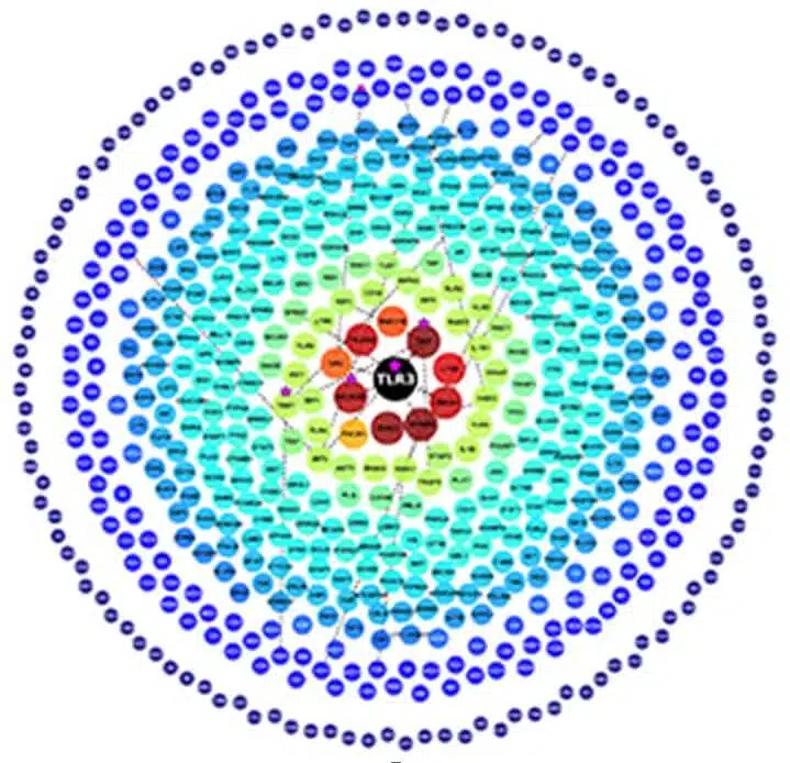 The map of the connections between all the genes in a person - the ...