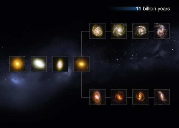 A study that examined images from the Hubble Space Telescope: the ...