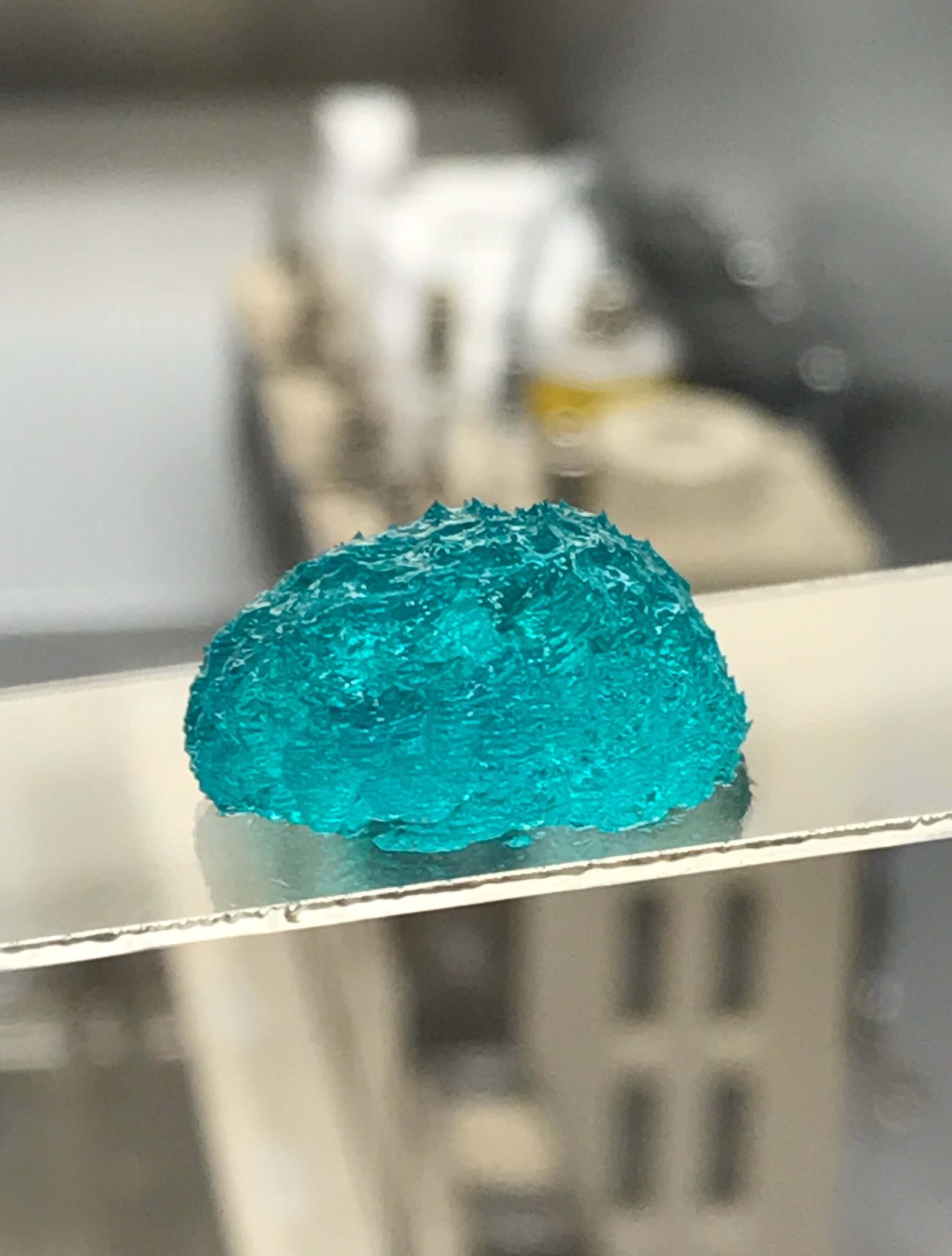DAN-DAVID-STUDENTS-3D printed brain A XNUMXD printed brain in the ...