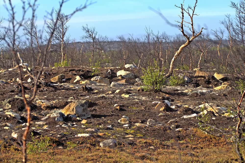 The land crisis is no less important than the climate crisis - the ...