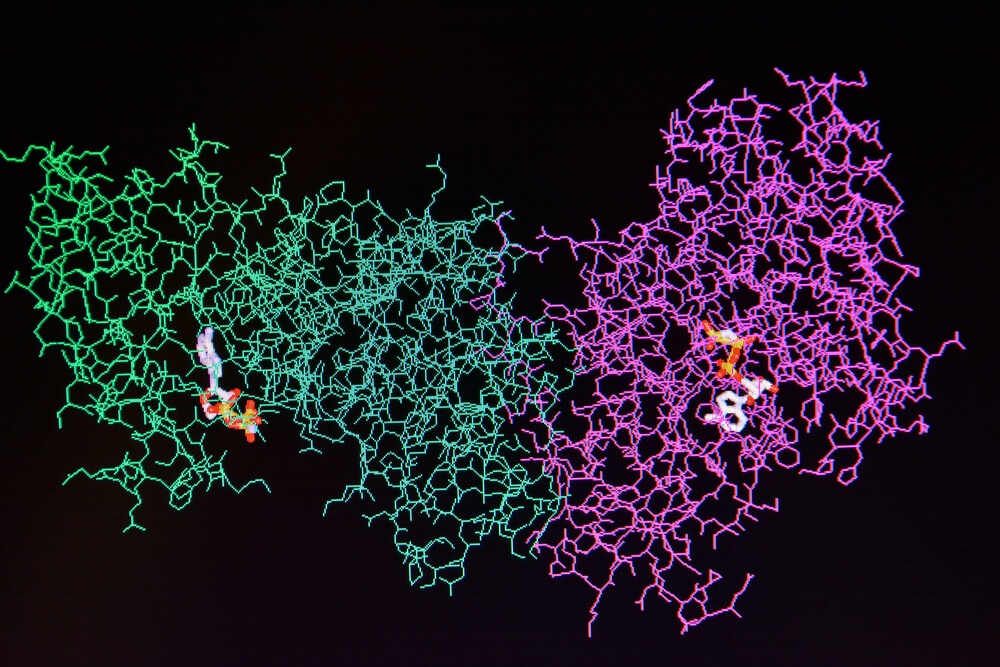Protein: advantage and disadvantage - The Science - Hayadan