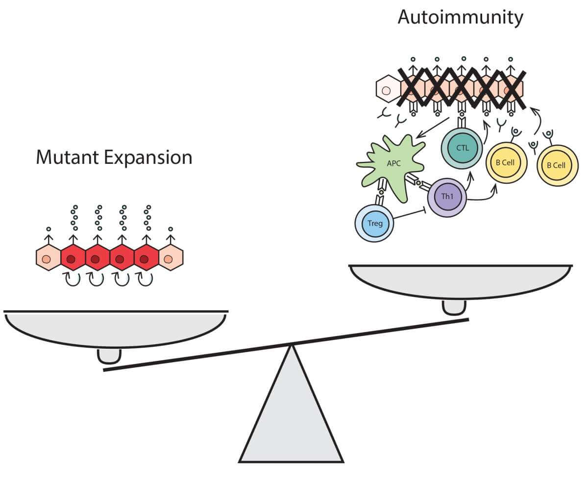What causes autoimmune diseases? - the scientist - Hayadan