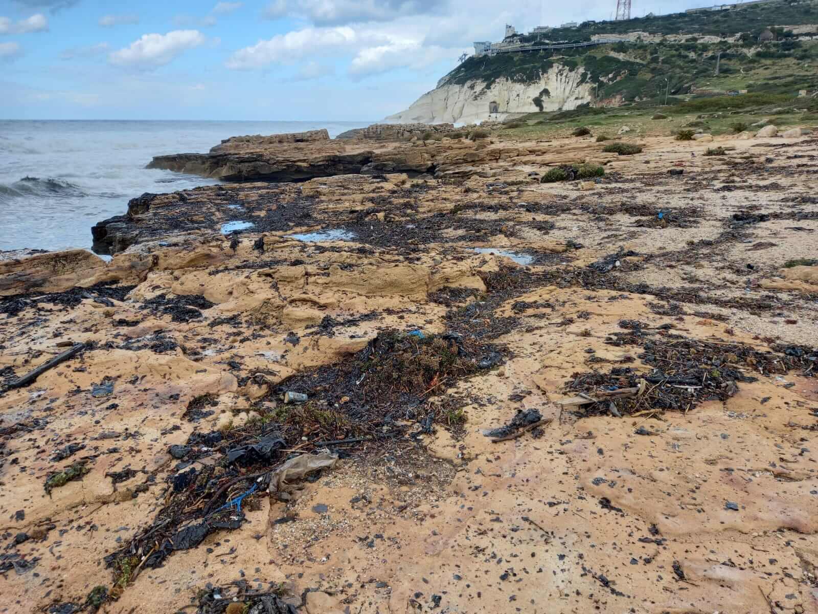 One of the most severe ecological disasters in Israel - tar is released ...