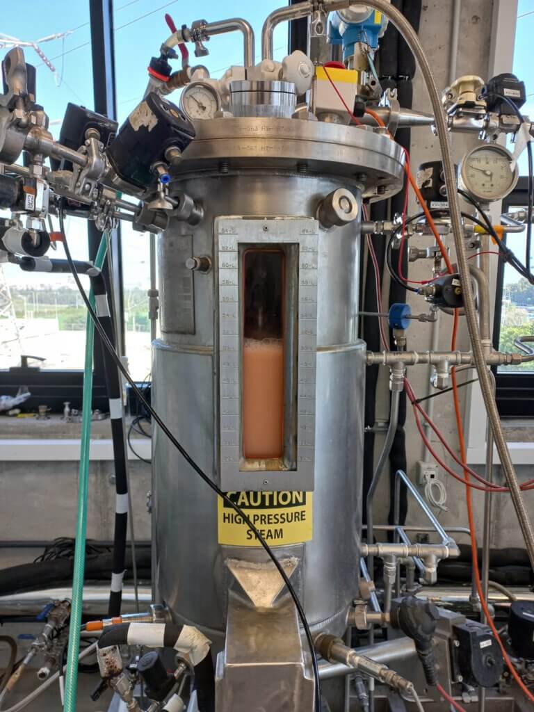 פלסטיק סביבתי בניחוח ים - הידען - Hayadan