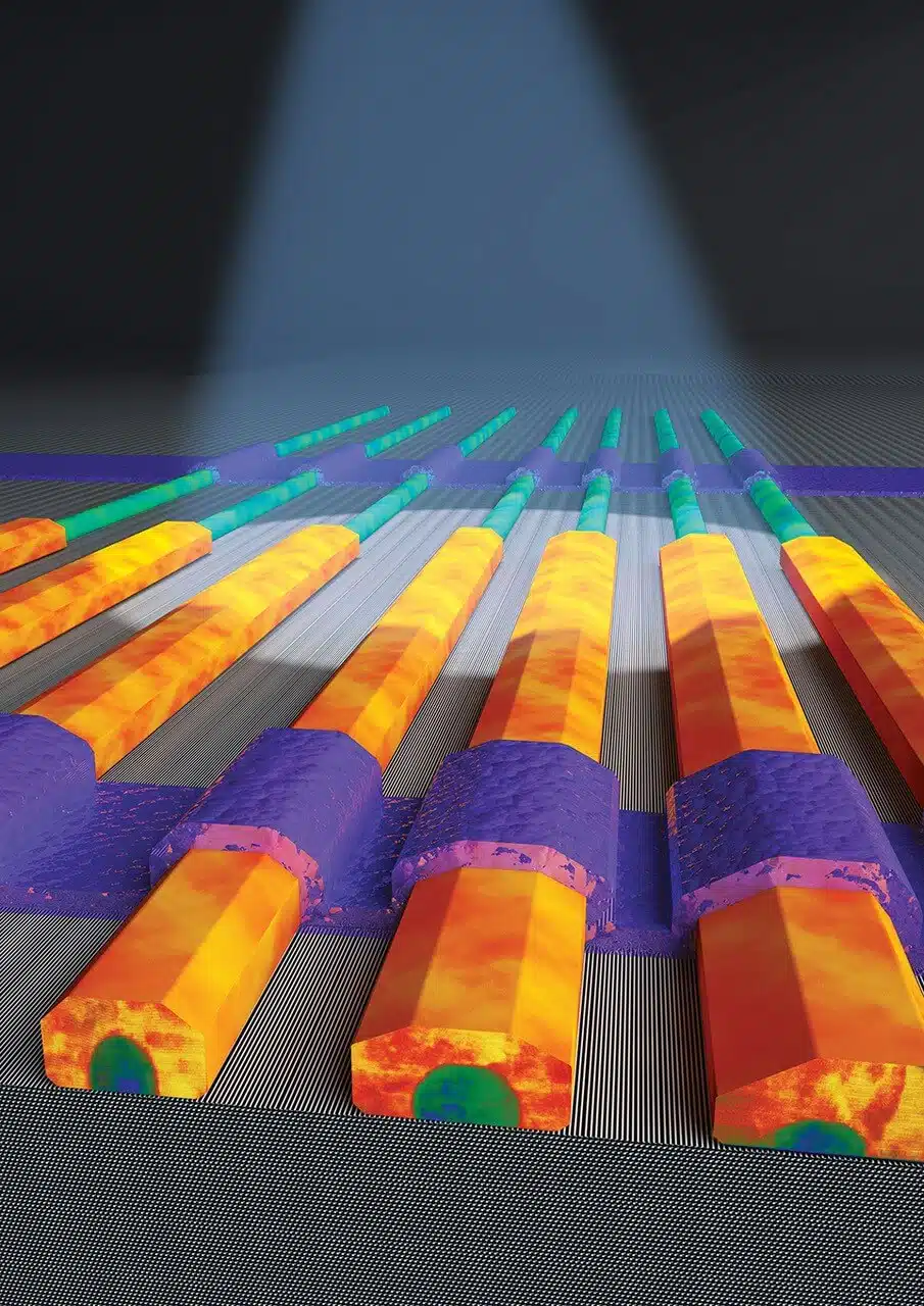 העולם שייך לזעירים - הידען - Hayadan