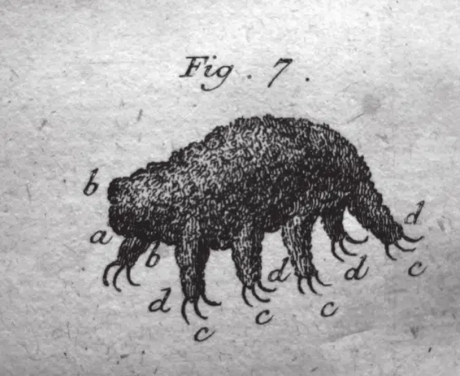 Chinese researchers propose to create tardigrade super-soldiers - the scientist - Hayadan