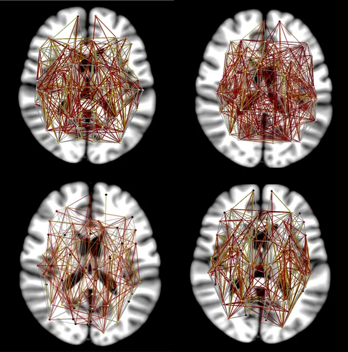 Personalized medicine - and gender - the science - Hayadan
