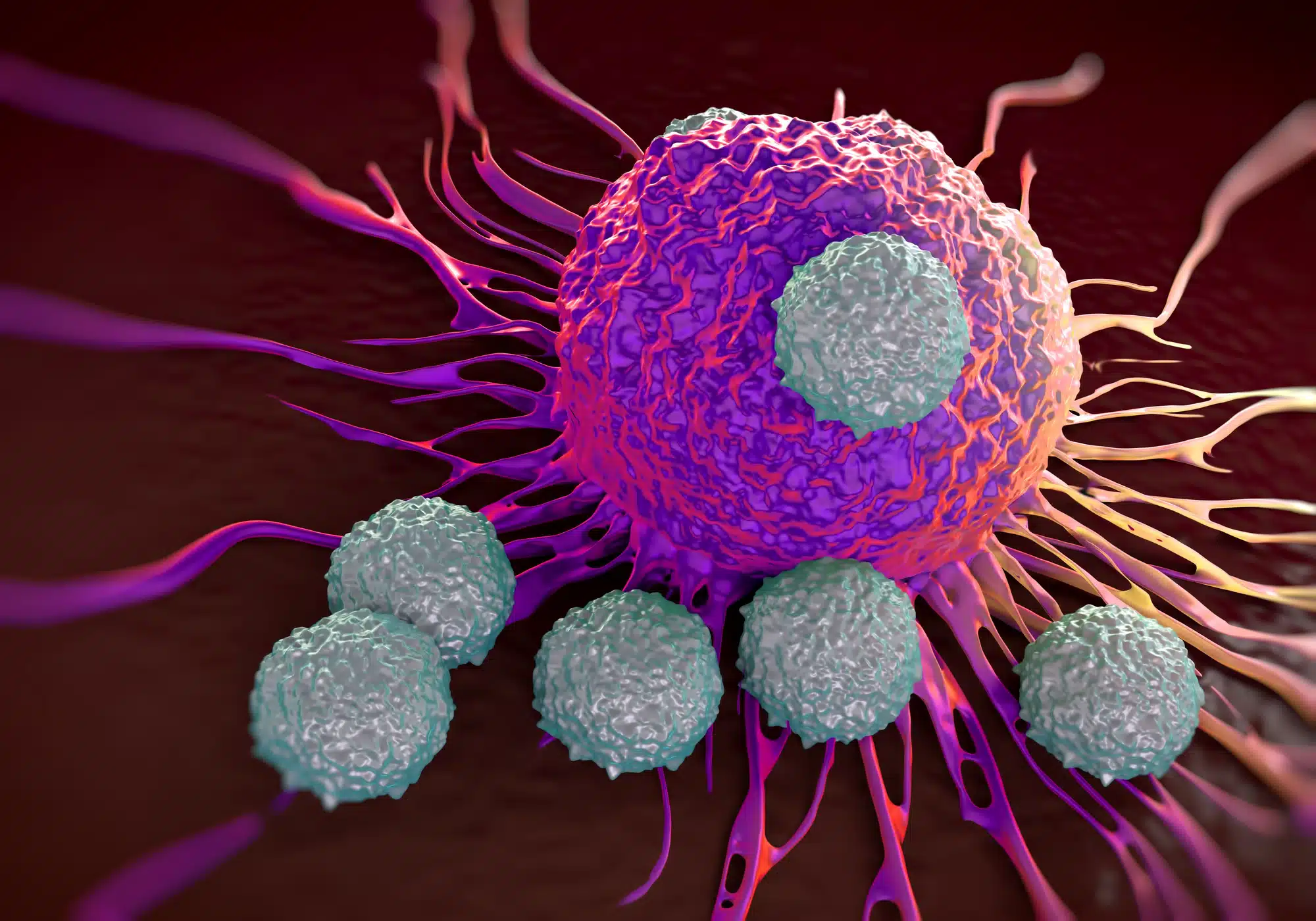 T cells: revealing the mechanisms for activating the immune system ...