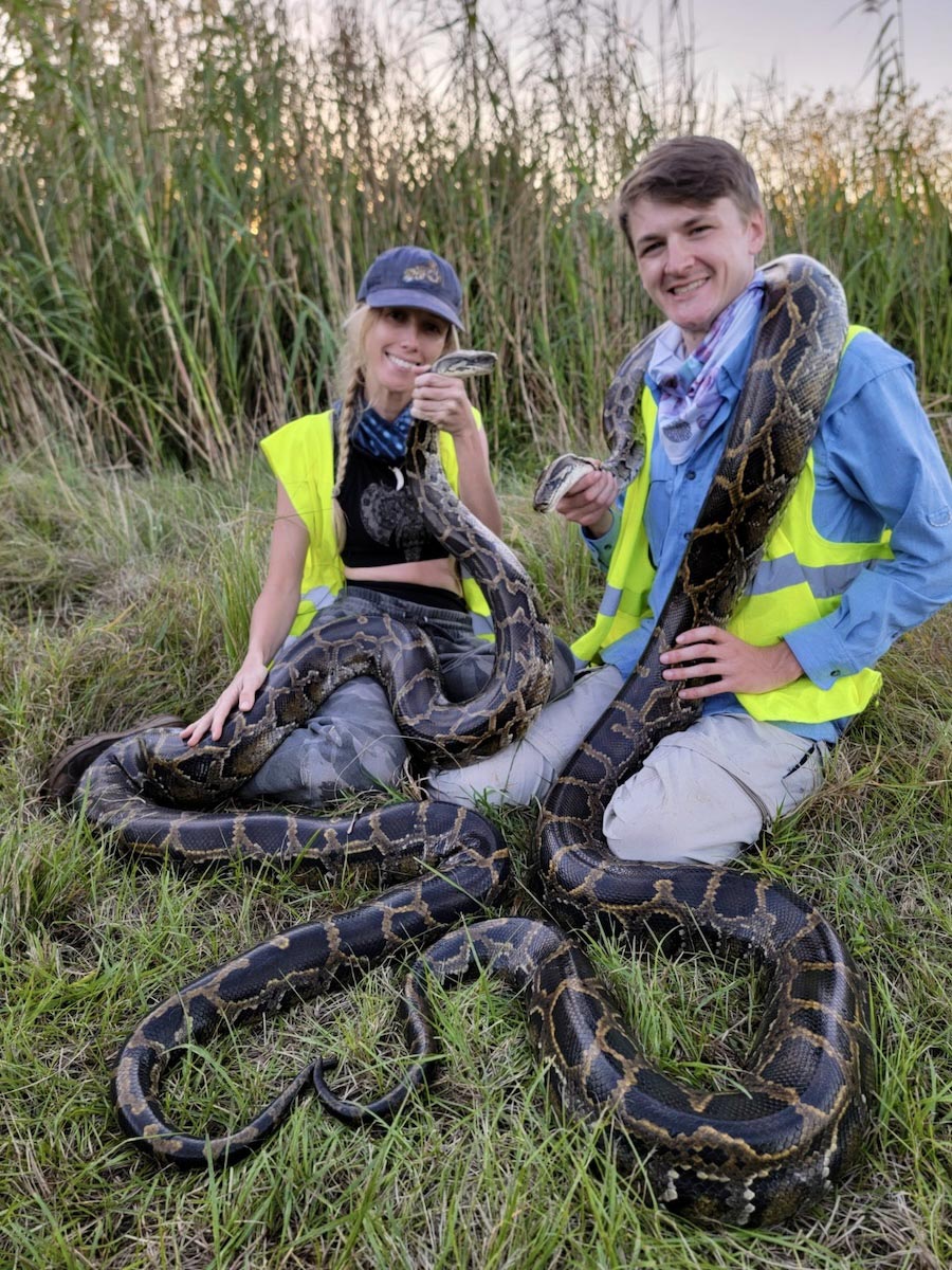 How science is helping Florida win the war against invasive pythons ...