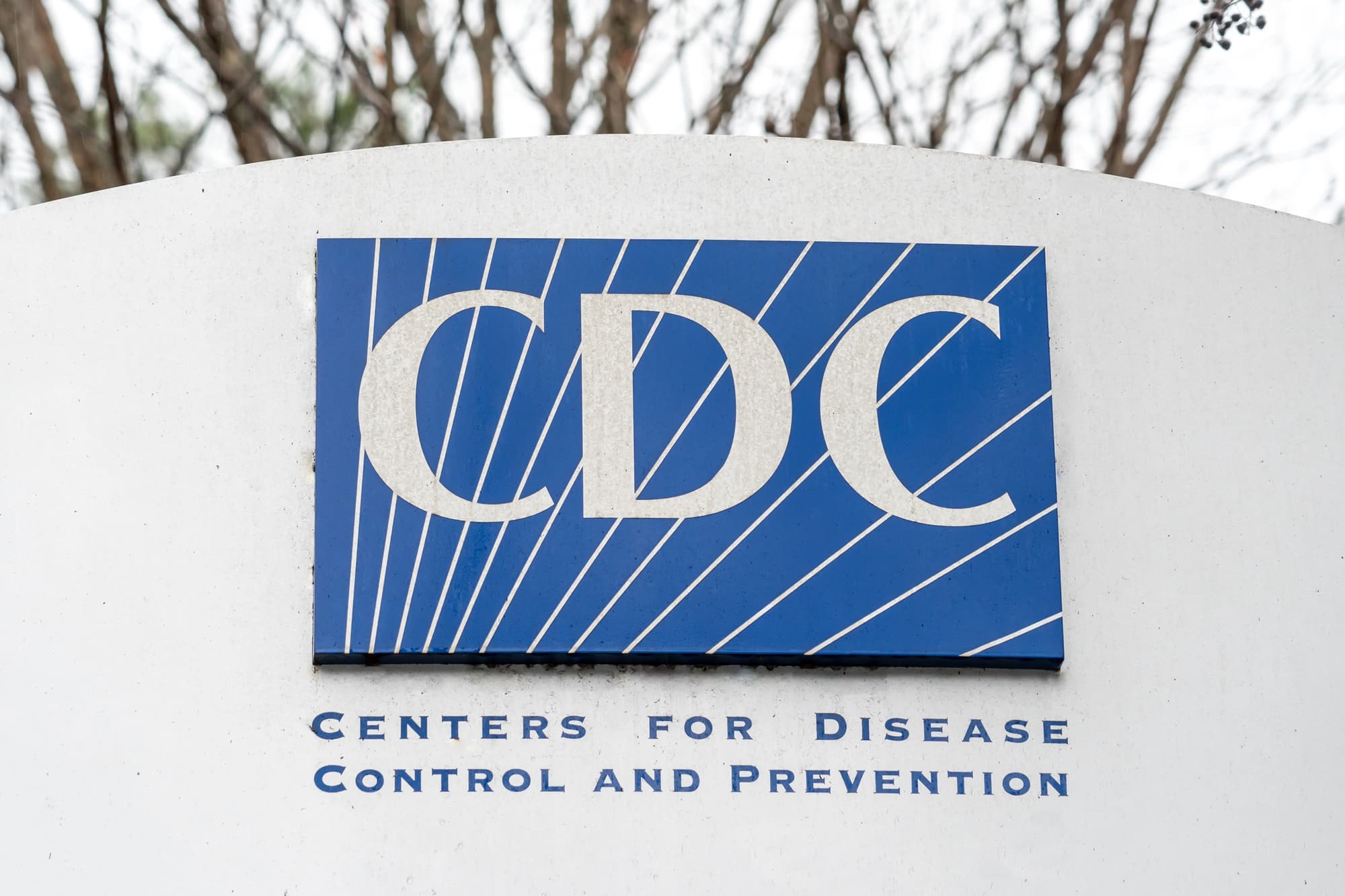 CDC in crisis: Private initiatives try to replace public health agency ...