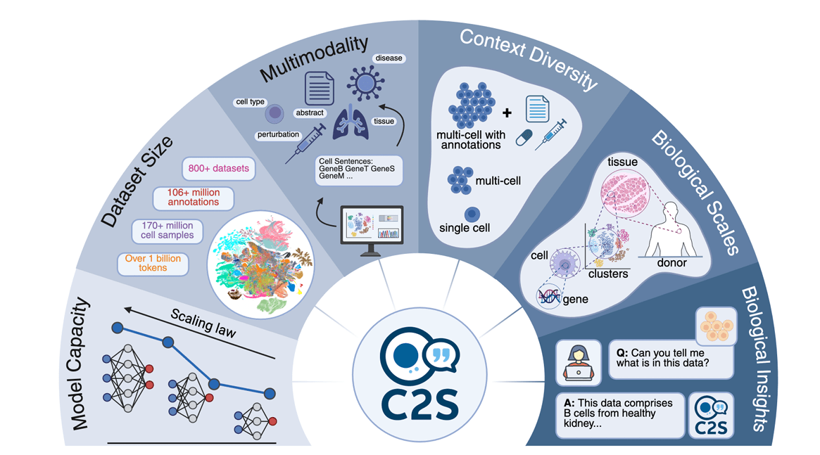 יום: 20 באוקטובר 2025 - הידען - Hayadan