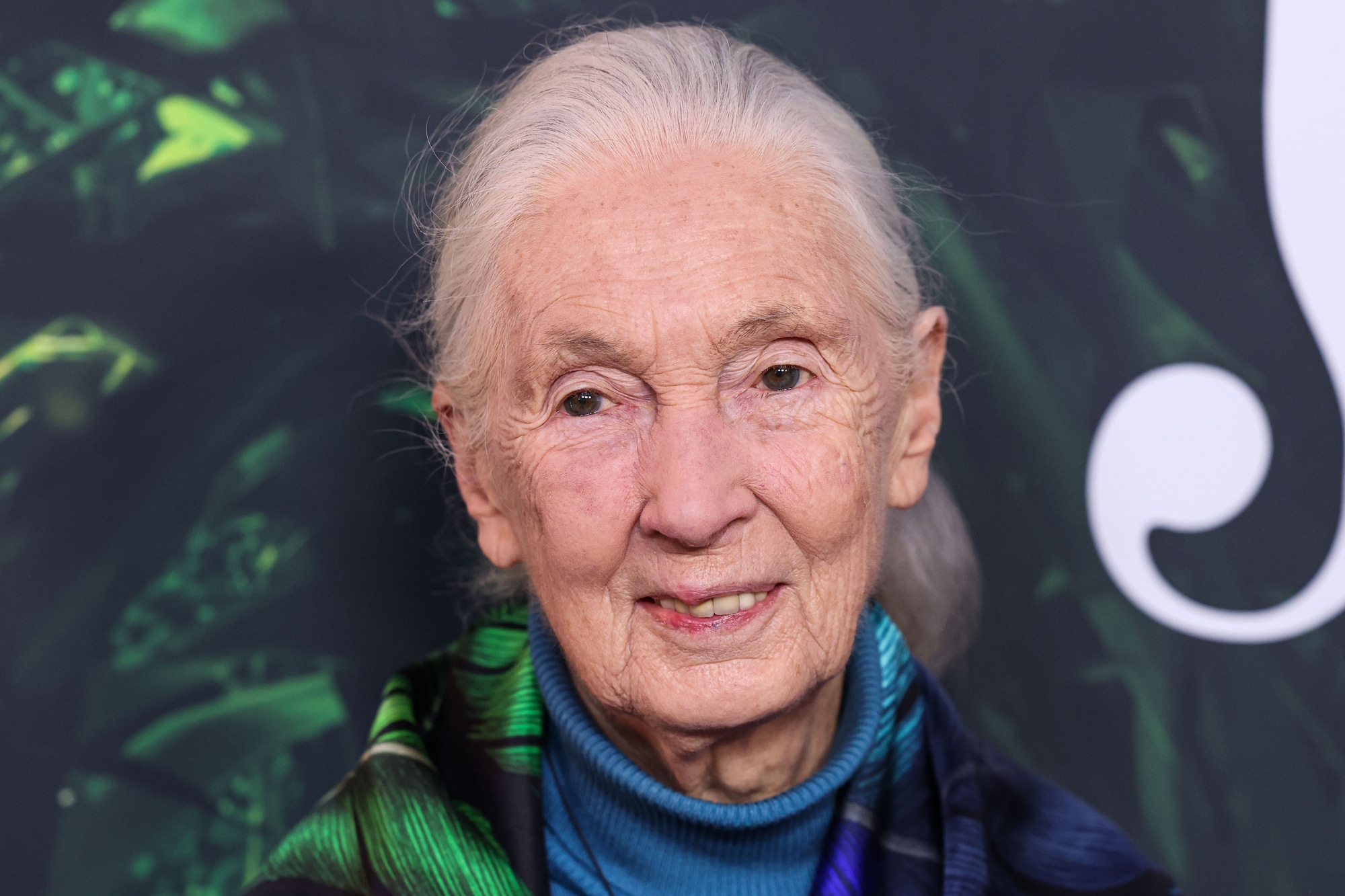 Chimpanzee researcher Jane Goodall dies at 91: Pioneer, scientist and ...