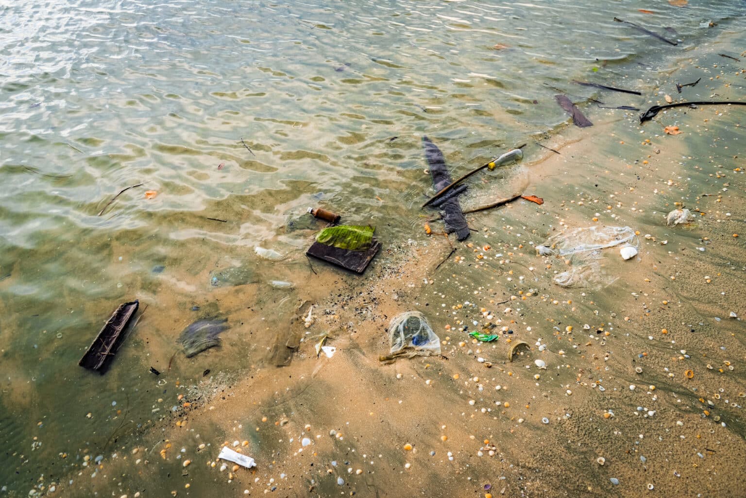 Sea Health Archives - Hayadan - Hayadan